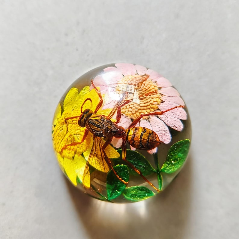 Glowing Spider Resin Paperweight, Real Insect Specimen, Epoxy Encased ...