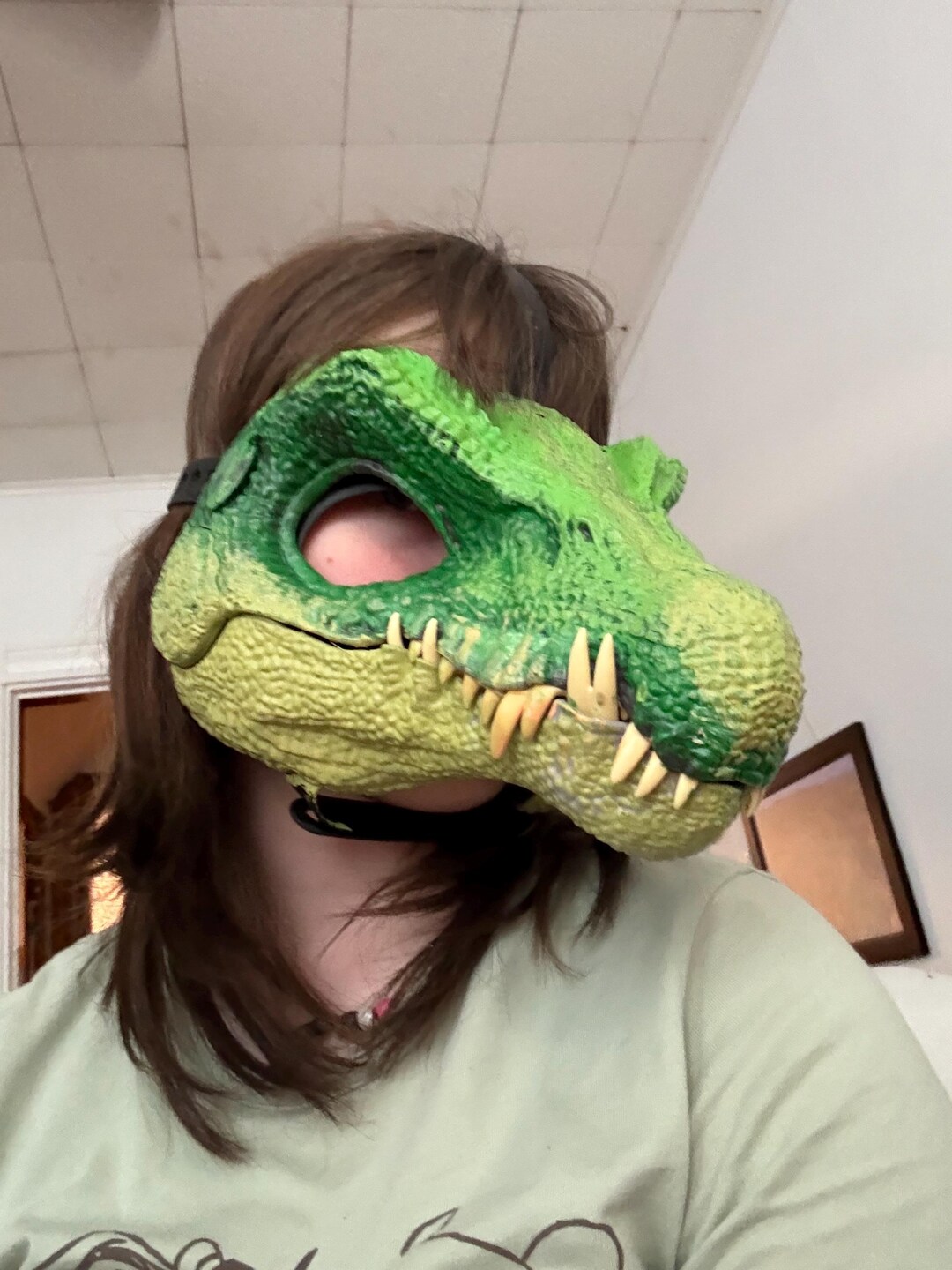 Crocodile Furry/cosplayer,therian Mask - Etsy