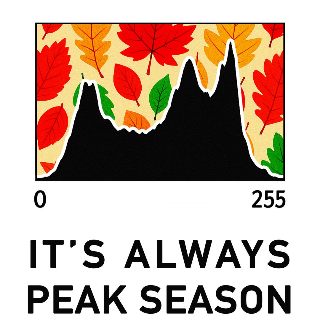 Peak Season Photographer Histogram T-shirt | Unisex Soft Style - Etsy