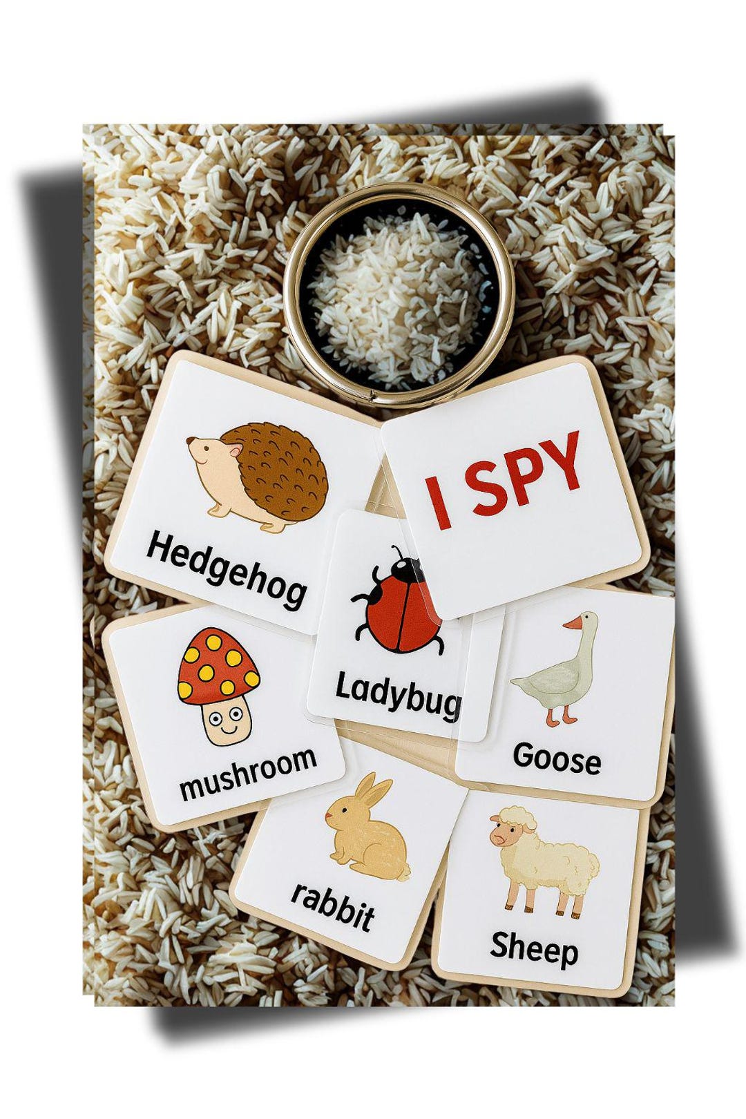 Sensory Bin I Spy Cards, Interactive Learning (digital Download) - Etsy