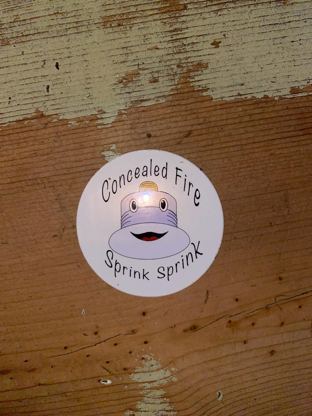 Concealed Fire Sprinkler Sticker – Fire Safety Vinyl Decal | Hard Hat ...