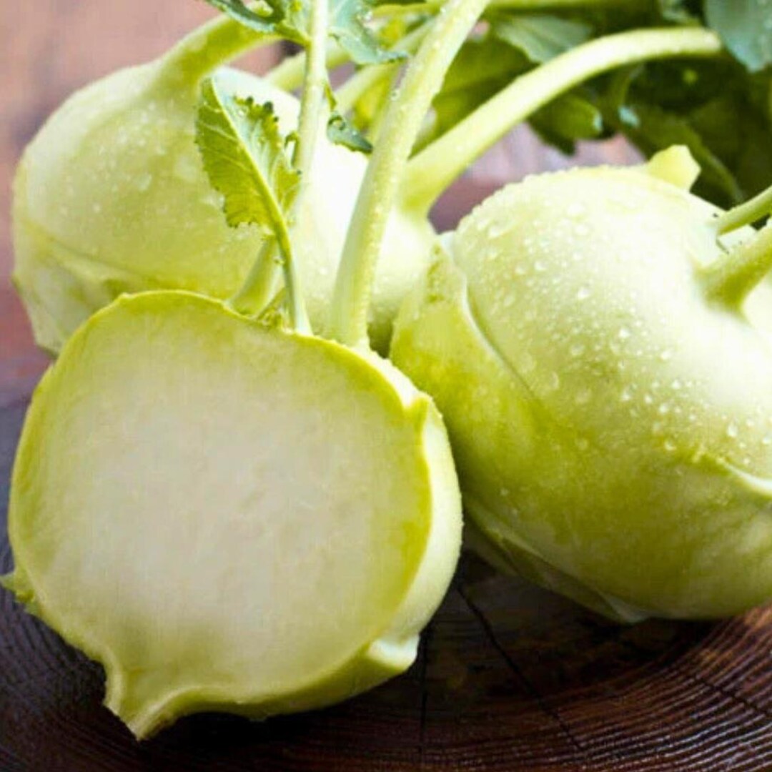 Early White Vienna Kohlrabi Seeds, NON-GMO (300 Seeds) - Etsy