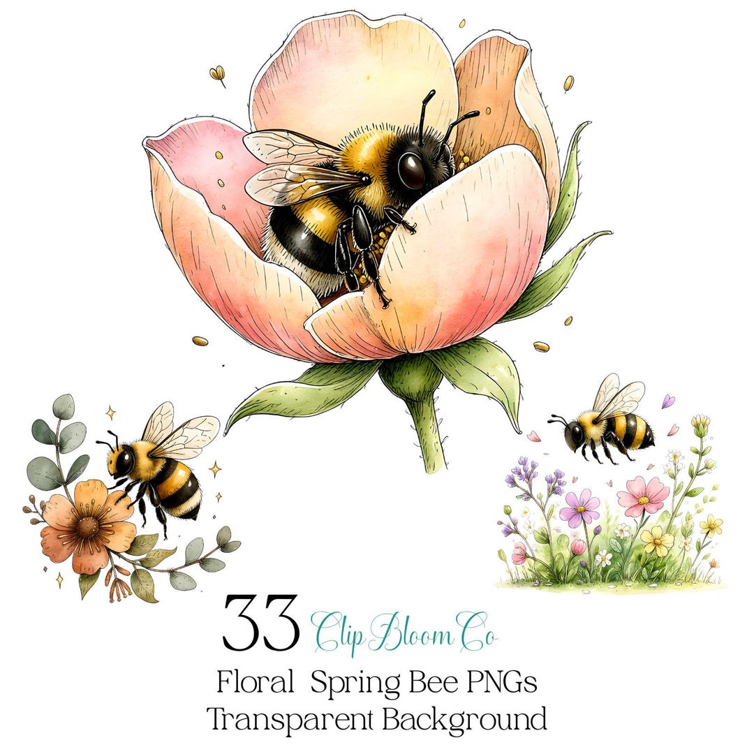 Watercolor Spring Bee PNG Bundle Floral Insect Clipart Botanical ...
