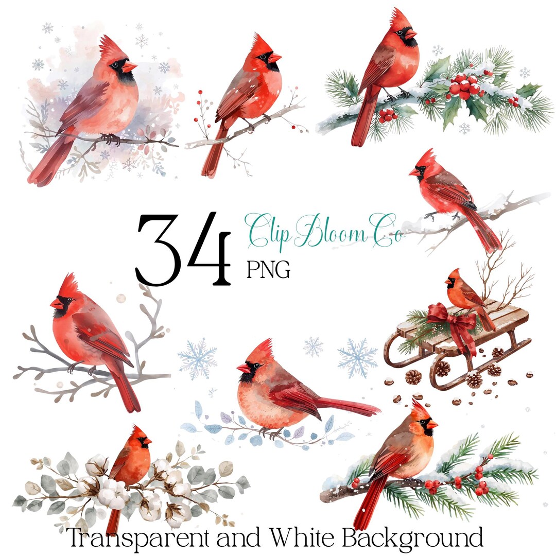 Cardinal PNG Bundle – 34 Winter Birds Clipart Images – Red Bird ...