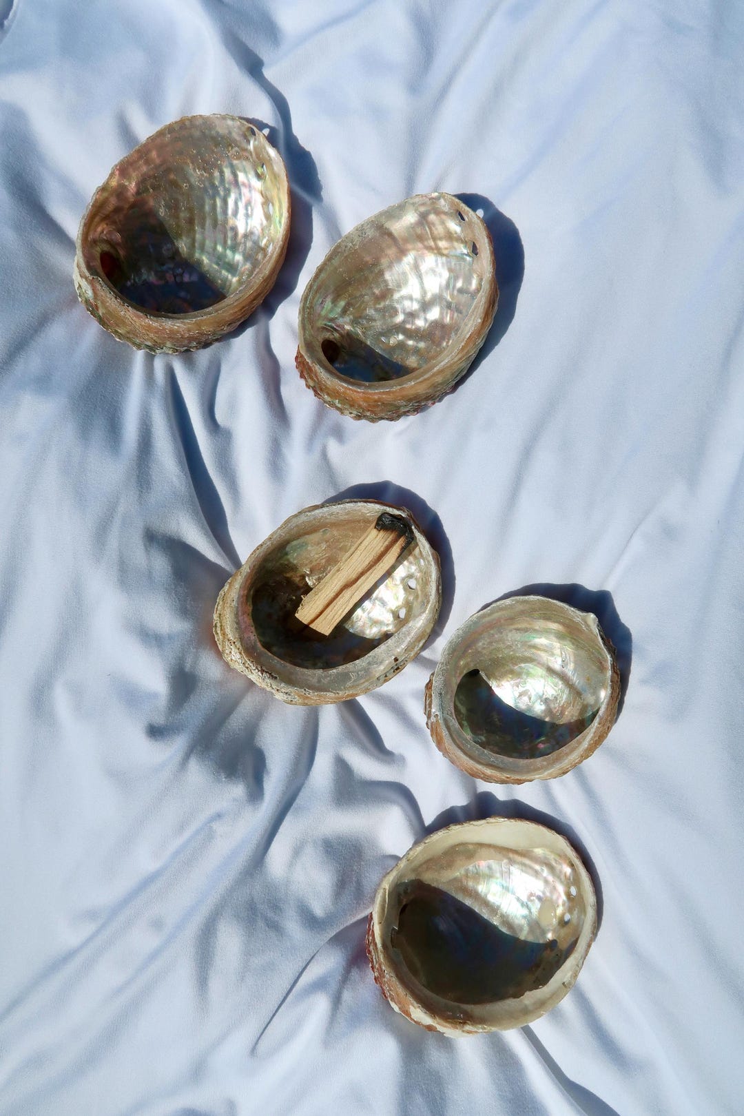 Hand-picked Abalone Shell, Smudging Bowl & Keepsake Dish (2.5-3.5 Inch ...