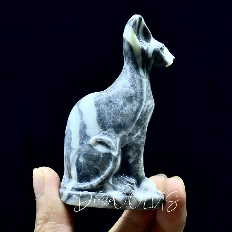 Natural Shell Stone Hairless Cat Crystal,reiki Healing,unique Quartz ...