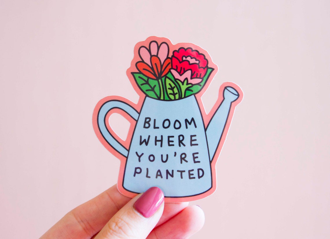 Bloom Vinyl Sticker Bloom Where You're Planted - Etsy