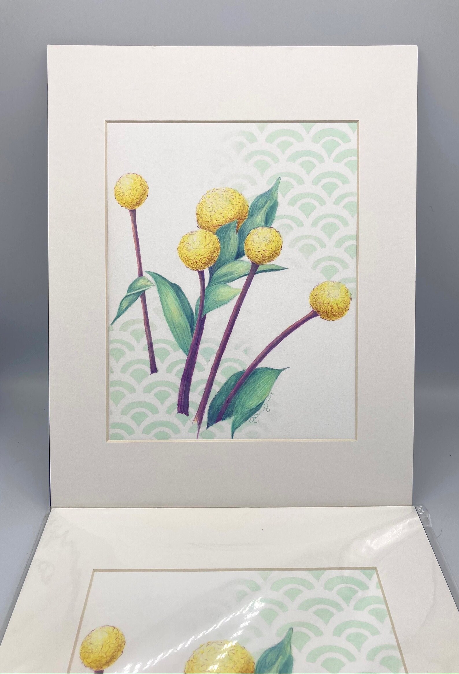 Billy Buttons Craspedia Flower Fine Art Print Matted and Ready - Etsy