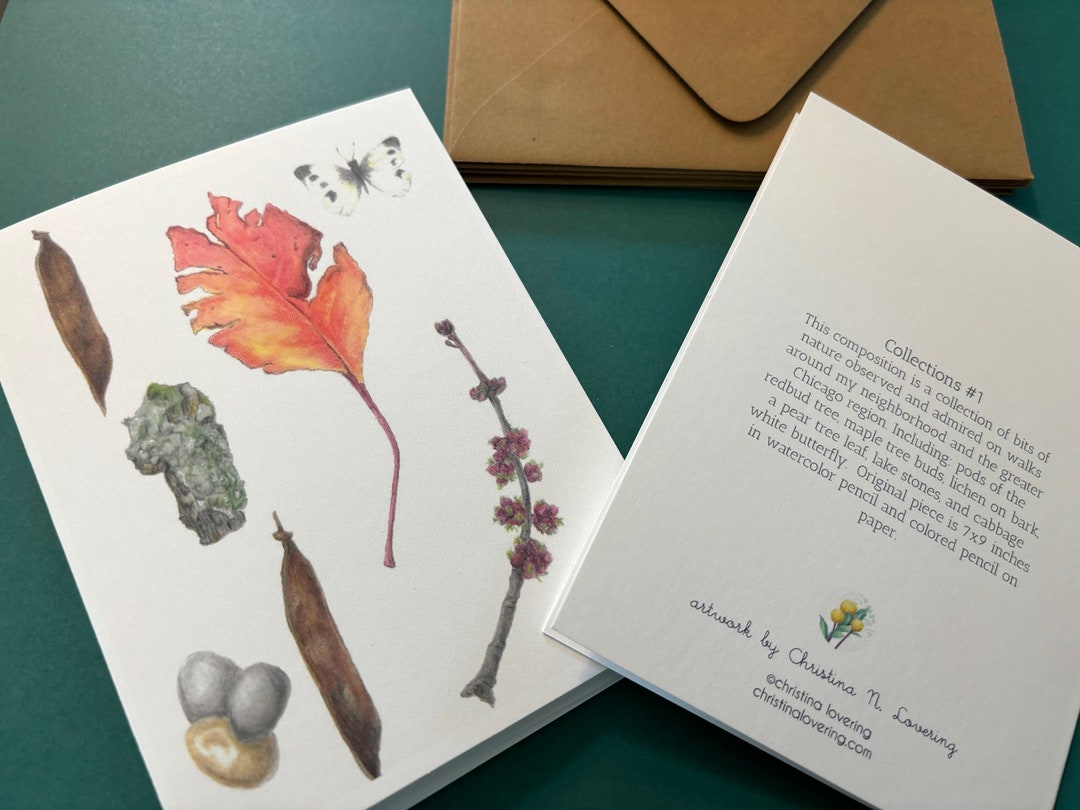 Collections 1: Bits of Nature Blank Set of Notecards, Box Set of 6 - Etsy