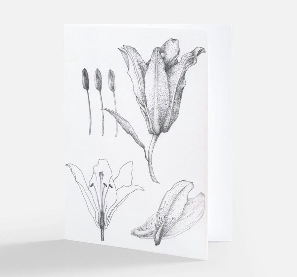 Nature Notes- Blank Notecard Set of 6 - Etsy