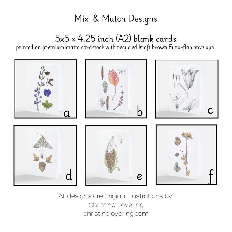 Nature Notes- Blank Notecard Set of 6 - Etsy