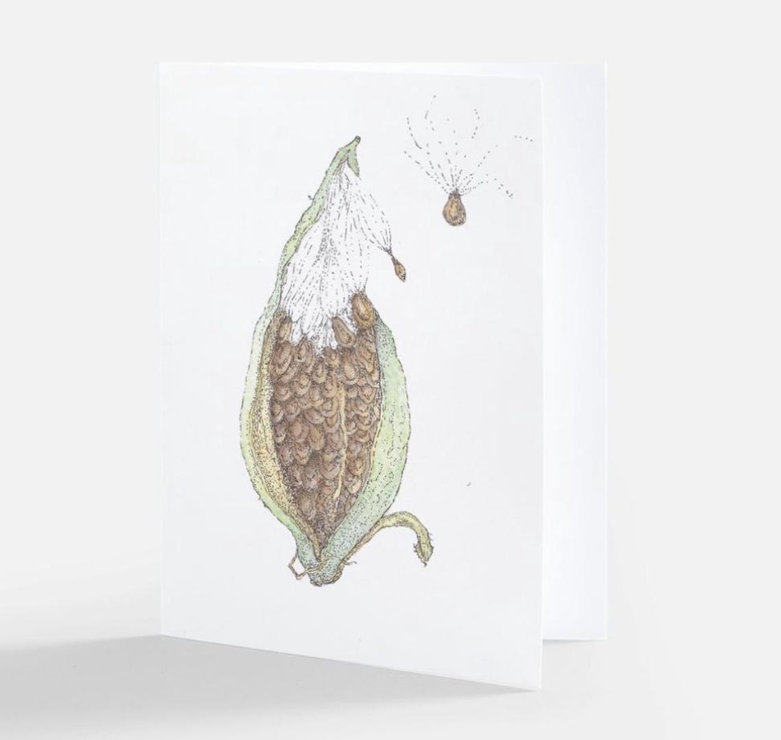Nature Notes- Blank Notecard Set of 6 - Etsy