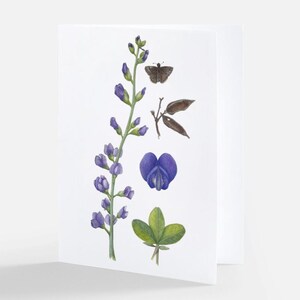 Nature Notes- Blank Notecard Set of 6 - Etsy