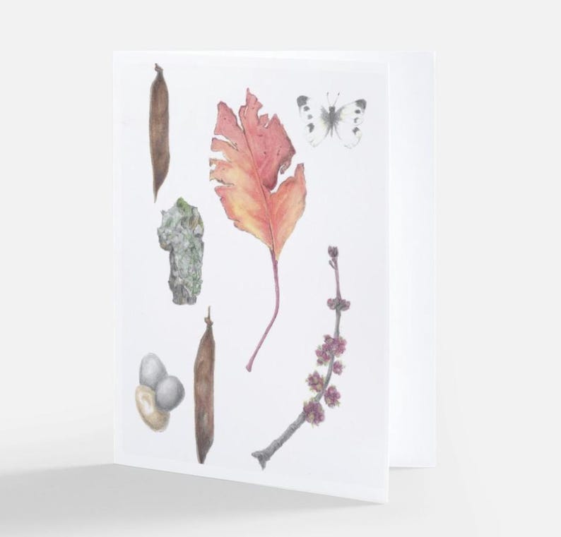 Nature Notes- Blank Notecard Set of 6 - Etsy