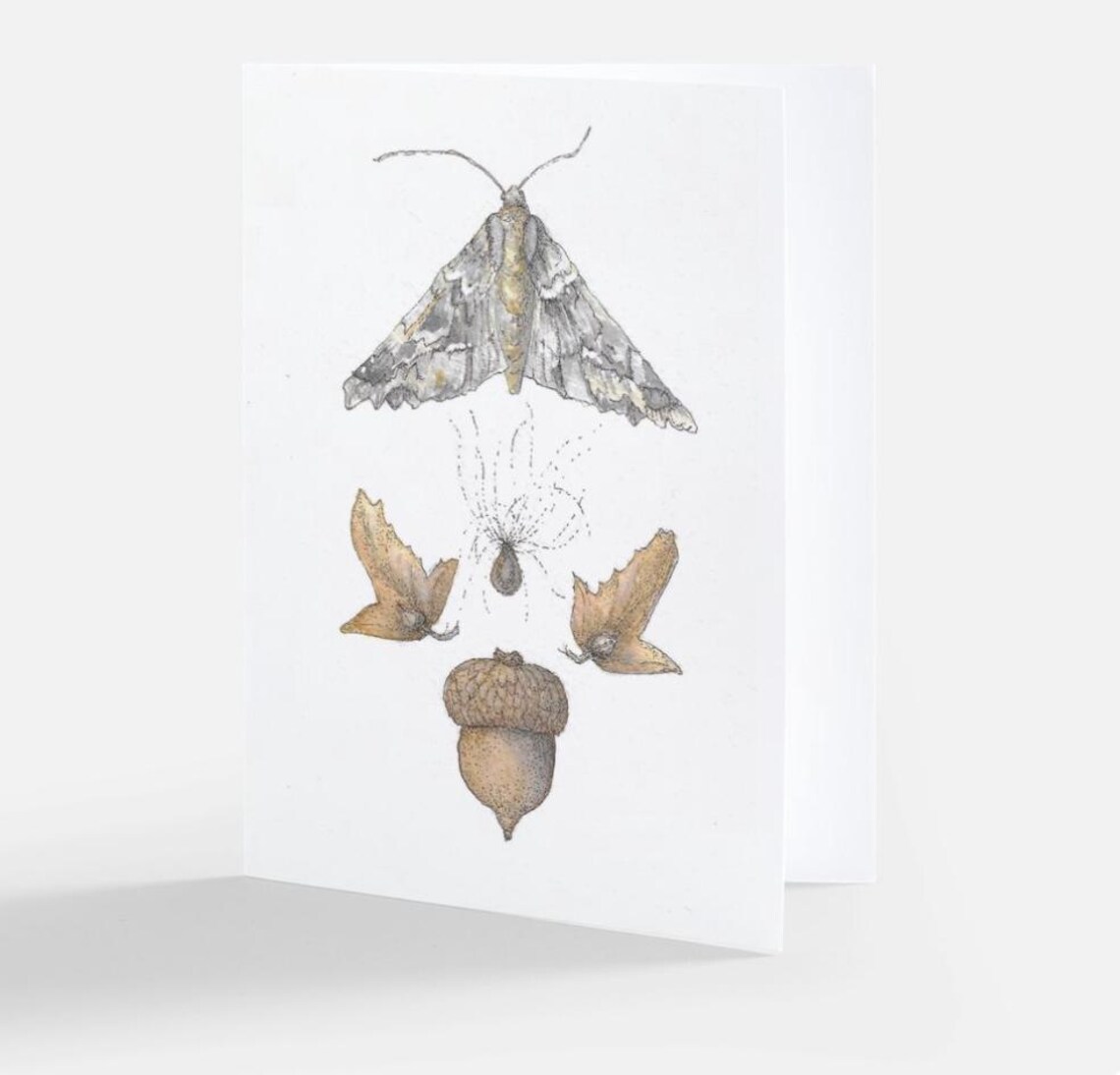 Nature Notes- Blank Notecard Set of 6 - Etsy