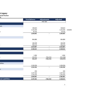 Trial Balance Mapping Excel Tool | Automated Financial Statement ...