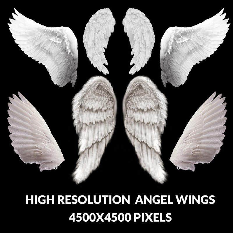 Feather and Wings Png - Etsy