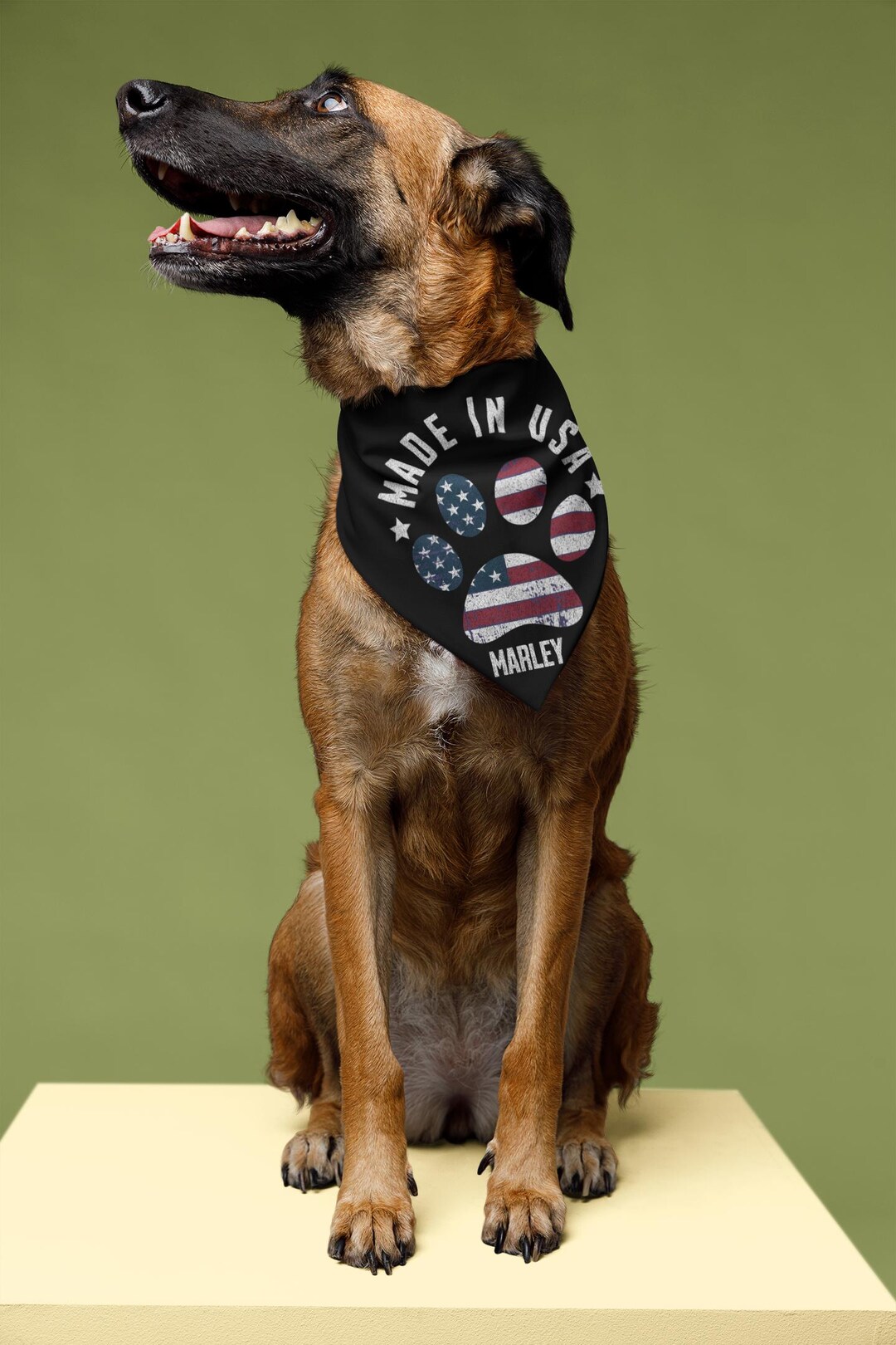 4th of July Dog Bandana, Patriotic USA Pet Bandana Red Blue Black ...