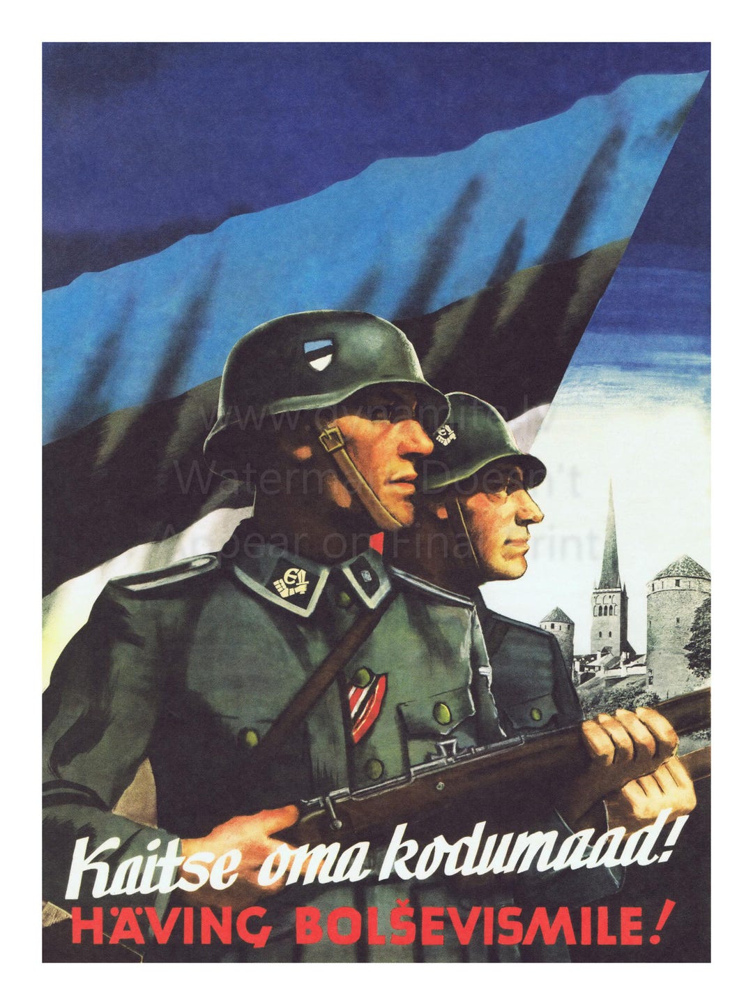 Vintage WW2 Propaganda Estonia Poster Print Estonian Flag! 18x24" - Etsy