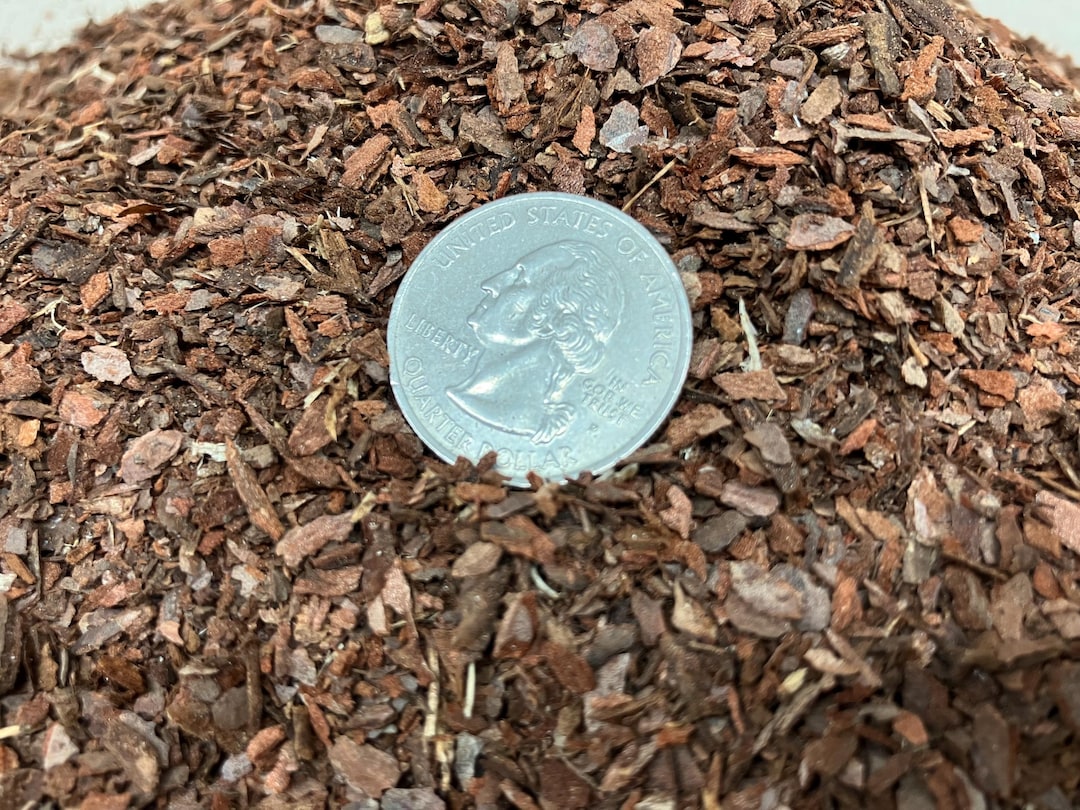 Orchid Bark Fines 1/8” | Pine Bark Chips for Aroids, Bonsai, Terrariums ...