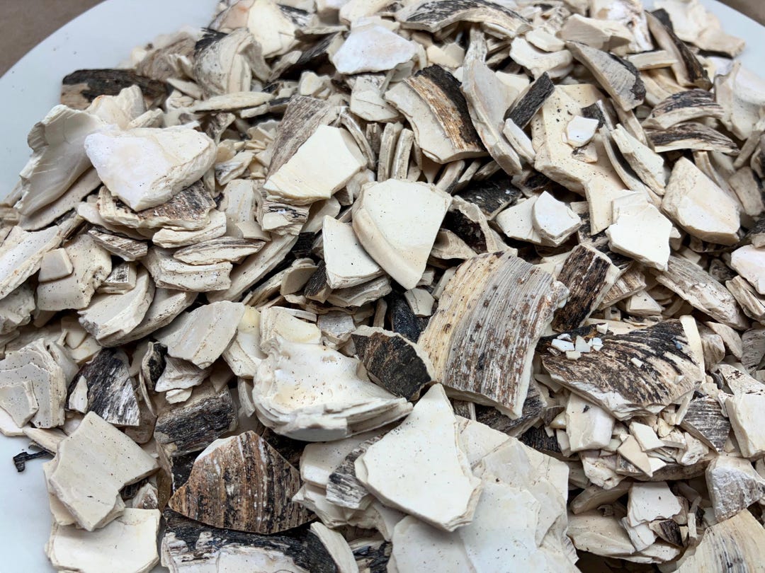 Crushed Clam Shell – Natural Calcium for Chickens, Hermit Crabs ...