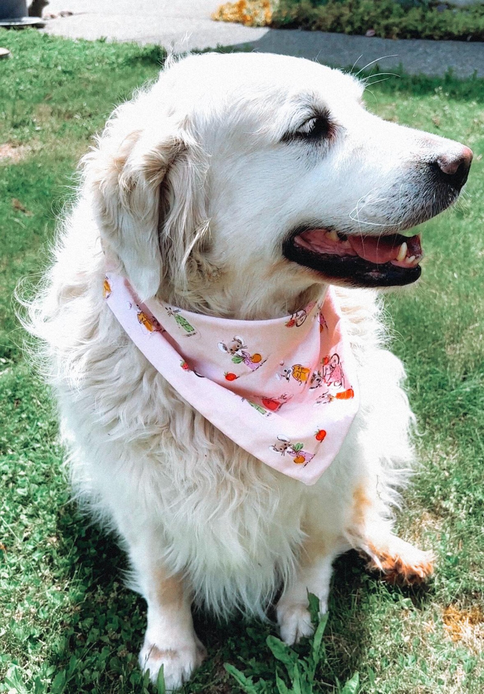 Scrunchie Dog Bandana Sewing Pattern for Beginners, Dog Scrunchie ...