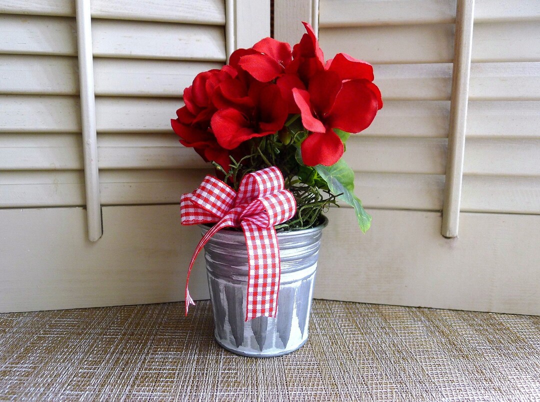 Red Geranium Arrangement With a Gingham Bow, Small Size, Get Well or ...
