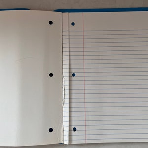 Vintage Disney 1990s Binder Mickey Mouse Horace Pluto New Wave Mead - Etsy