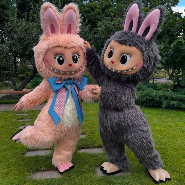 Labubu Costume Human - Etsy