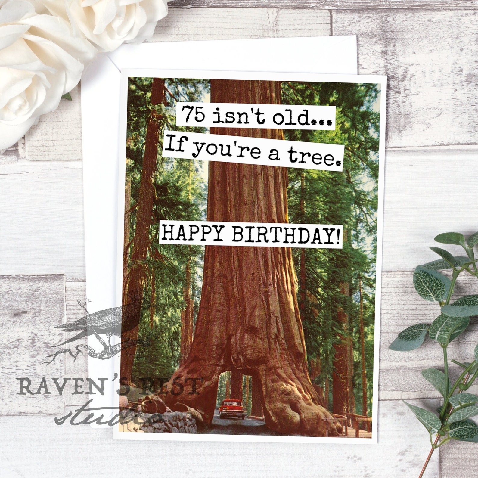 Card #293c. 75 Isn't Old... If You're A Tree. HAPPY BIRTHDAY! Funny ...