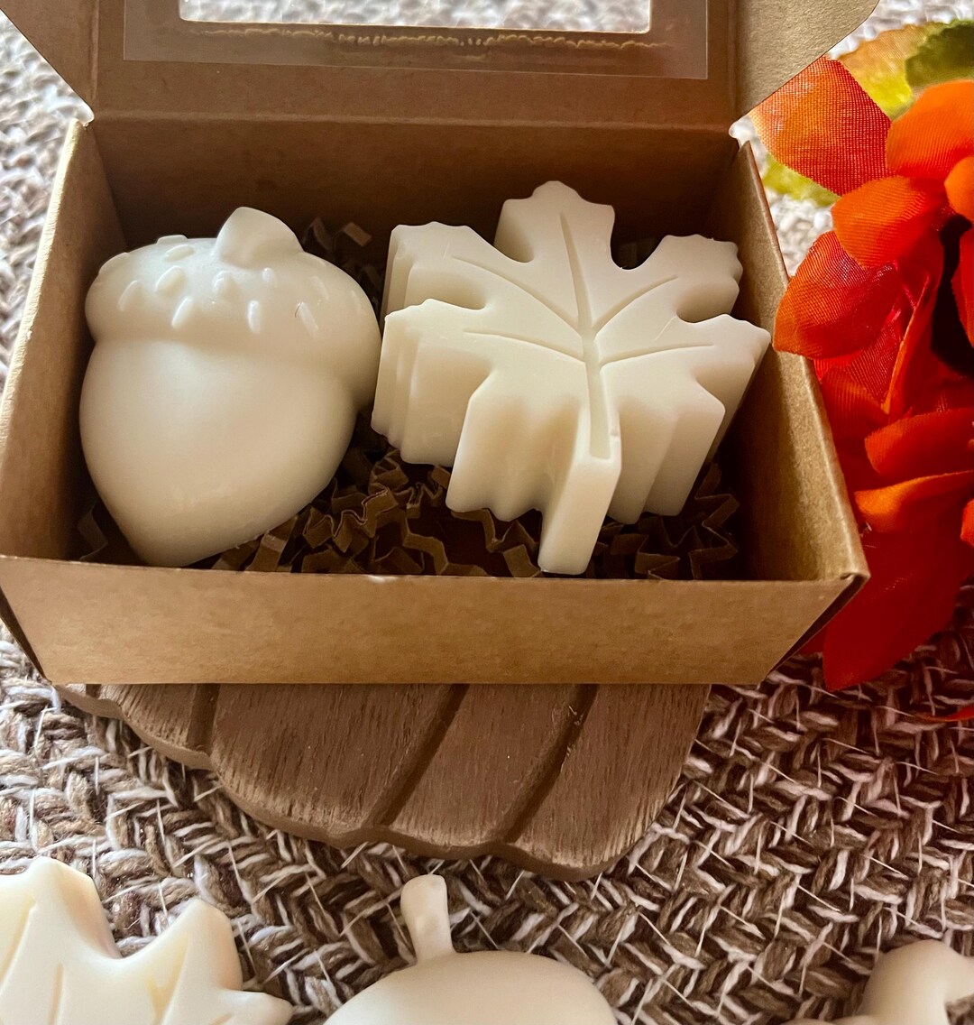 Charleston Cozy: Fall Wax Melts (set of 2) - Etsy