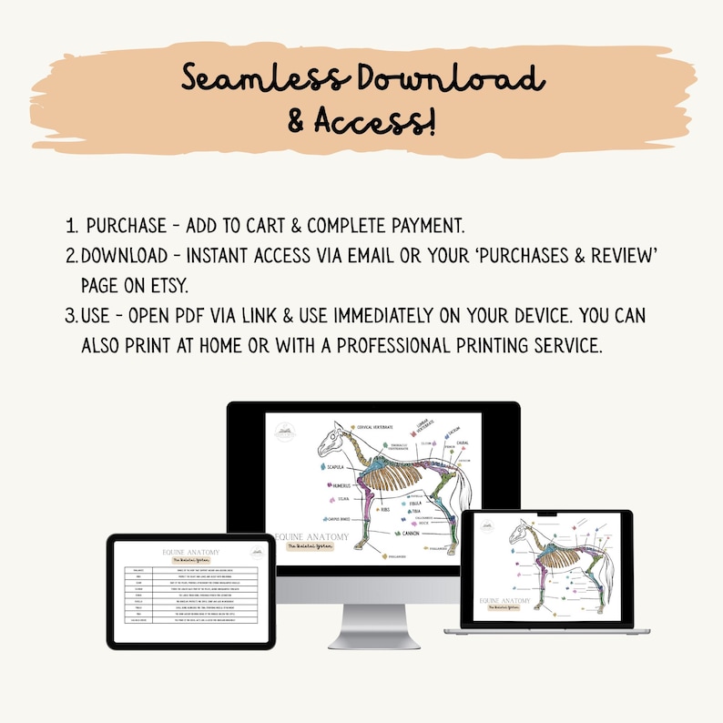 Equine Skeletal System Diagrams and Info Pack | Horse Anatomy PDF ...