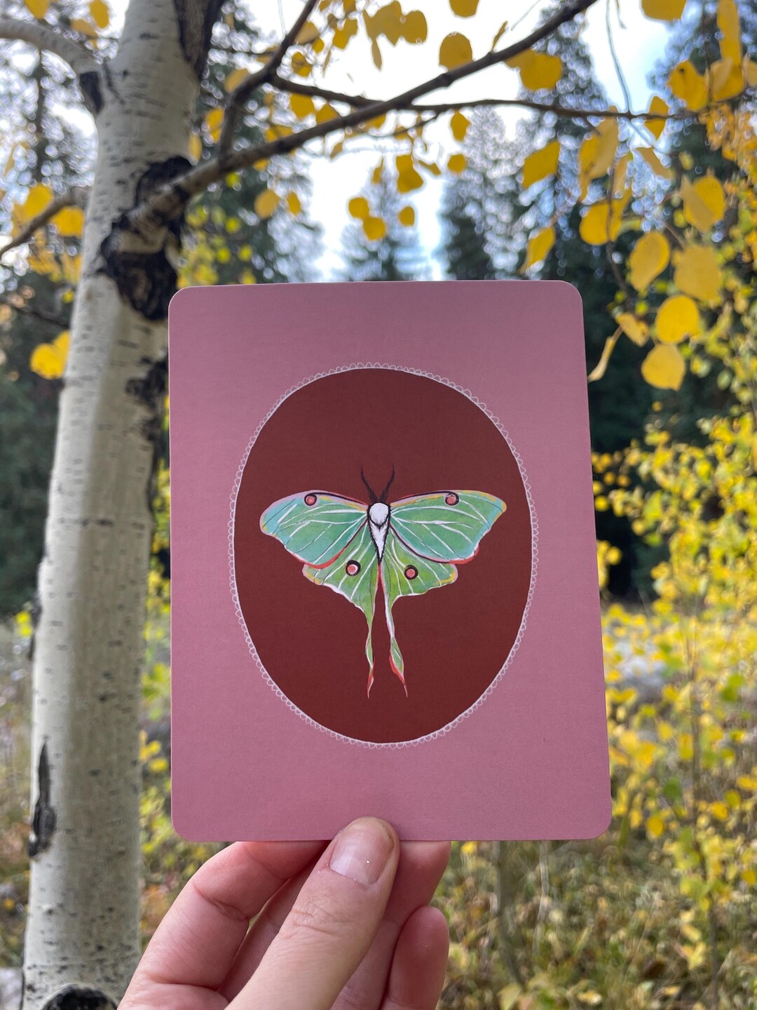 Luna Moth Note Card - Etsy