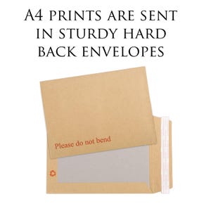 Magikarp Posters (A3) - Realistic Pokémon Art Print - Pokémon Zoology ...