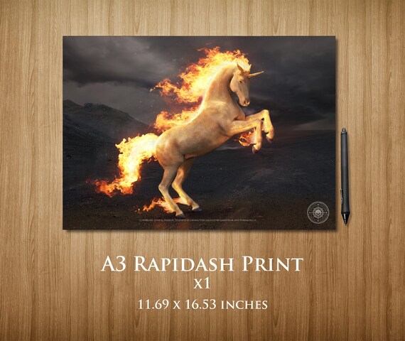 Realistic Rapidash Shadow Wasser User Profile | DeviantArt