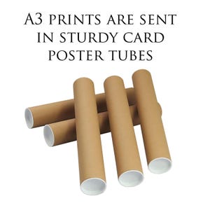 Ditto Print (A4) - Realistic Pokémon Art Print - Pokémon Zoology ...