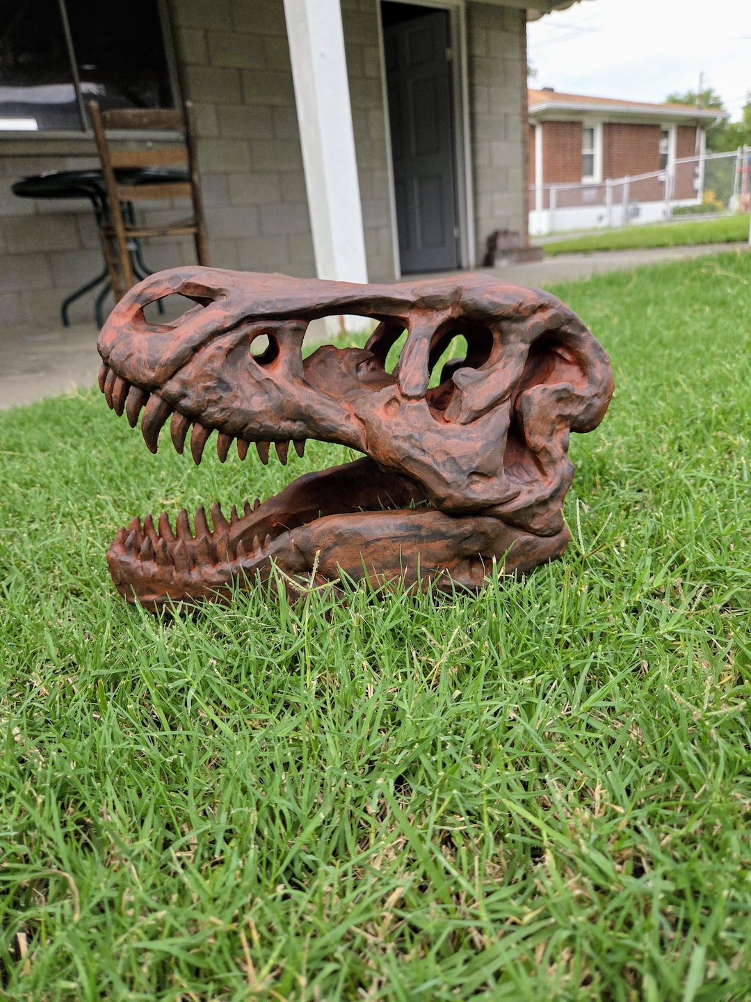 Réplica de cráneo de dinosaurio T-Rex – Fósil realista / Decoración ...