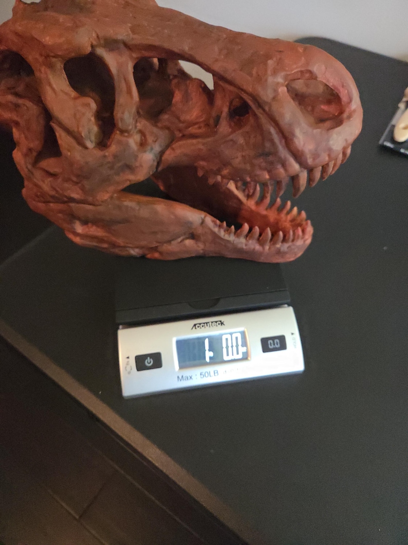 T-rex Dinosaur Skull Replica – Realistic Fossil Prop | Jurassic Home ...
