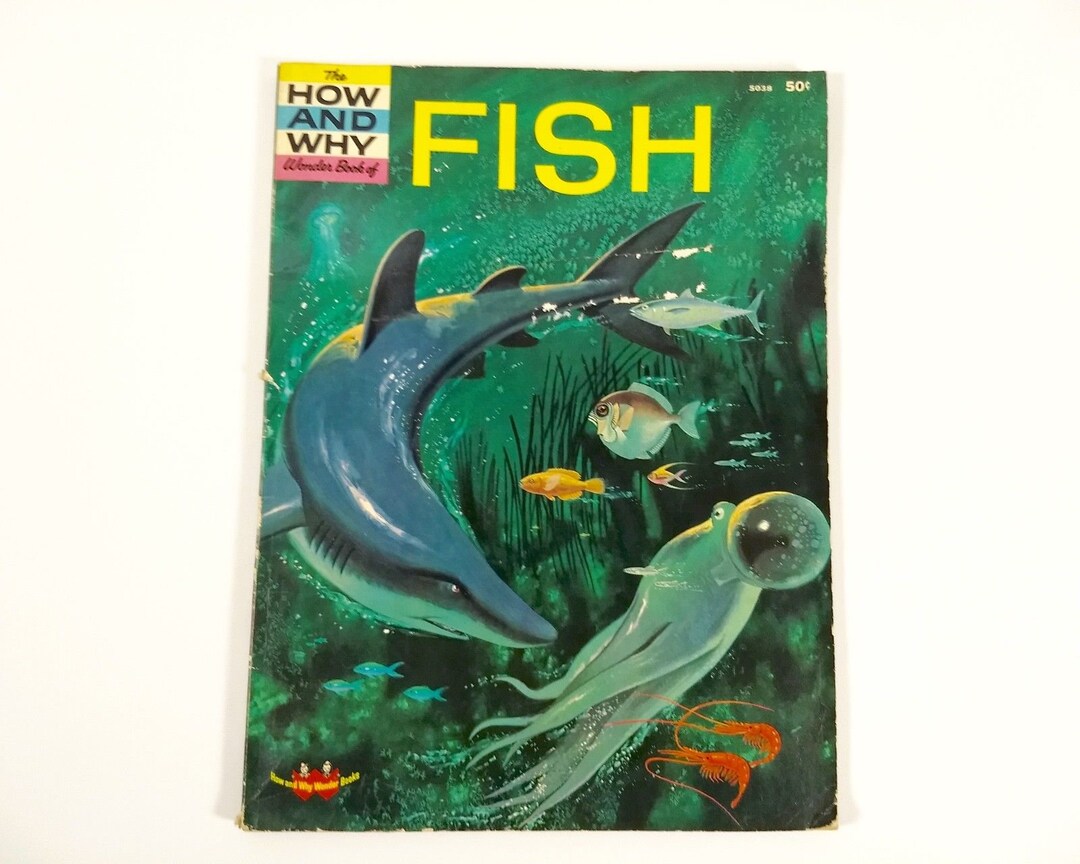 Vintage the How and Why Wonder Book of FISH | 1963 Softcover | Children ...