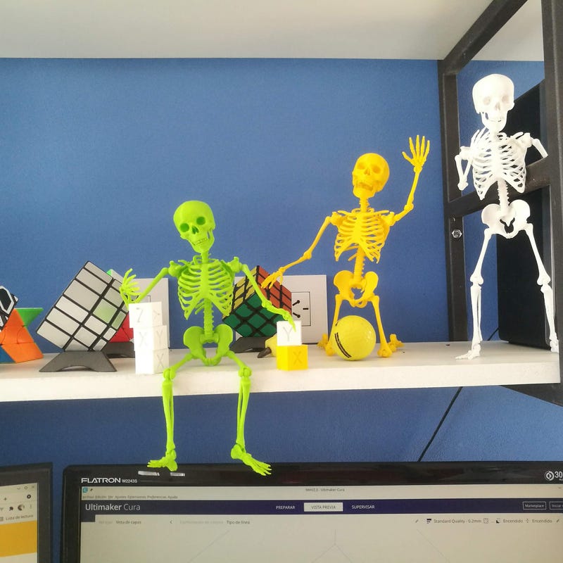 3d Printed Skeleton Purse Etsy