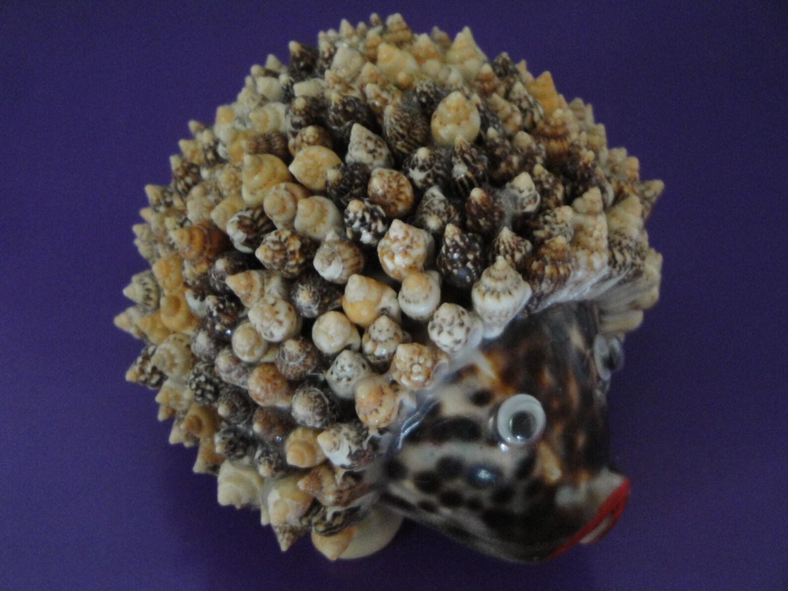 Sea Shell Seashells Hedgehog Figurine - Etsy