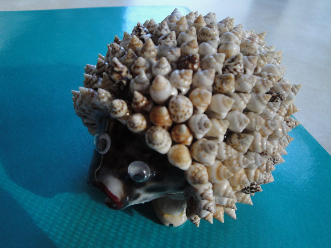 Sea Shell Seashells Hedgehog Figurine - Etsy