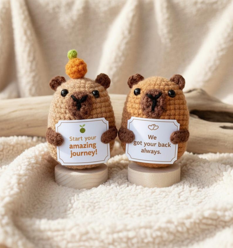 Capybara Crochet Buddy Pal | Encouraging Desk Gift Set | Positive ...