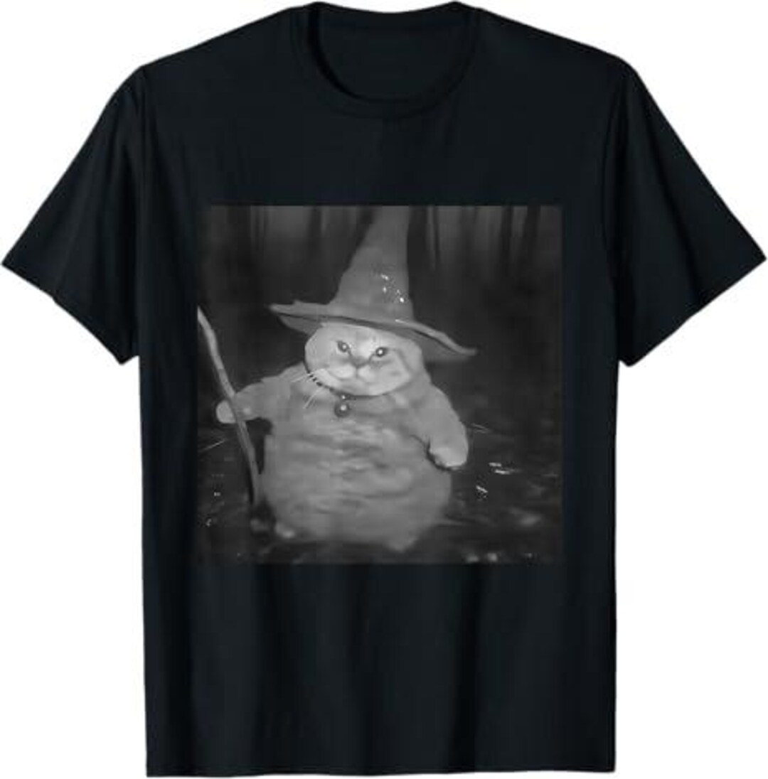 Fat Wizard Cat Fat Kitten Wizard Funny Cat Meme Brain Rot - PNG File - Etsy