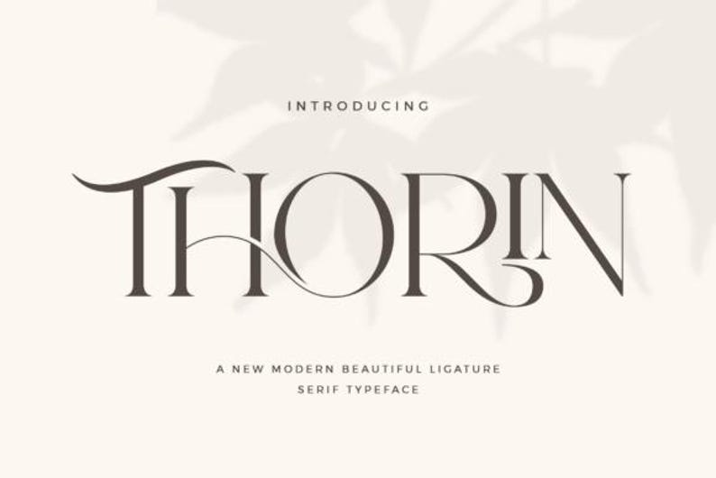 Thorin - Modern Serif Font, Branding Font, Boho Font, Canva Font ...