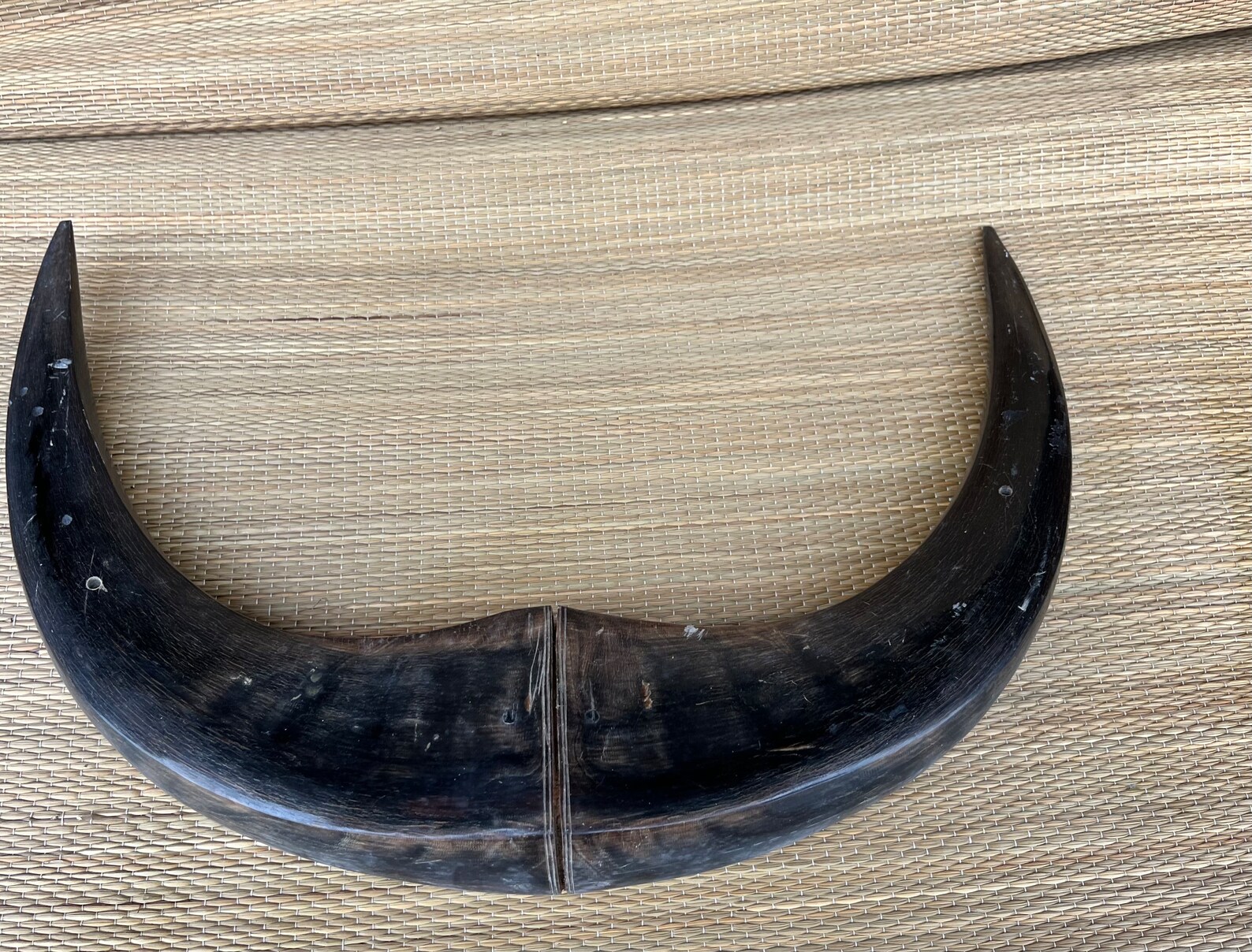 Vintage Bull Horns WESTERN Cow Steer 12" VINTAGE Etched Carved Asian ...