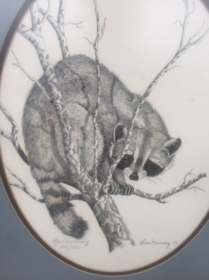 Vintage Gene Murray Limited Edition Signed Print Racoon Rustic Wood ...