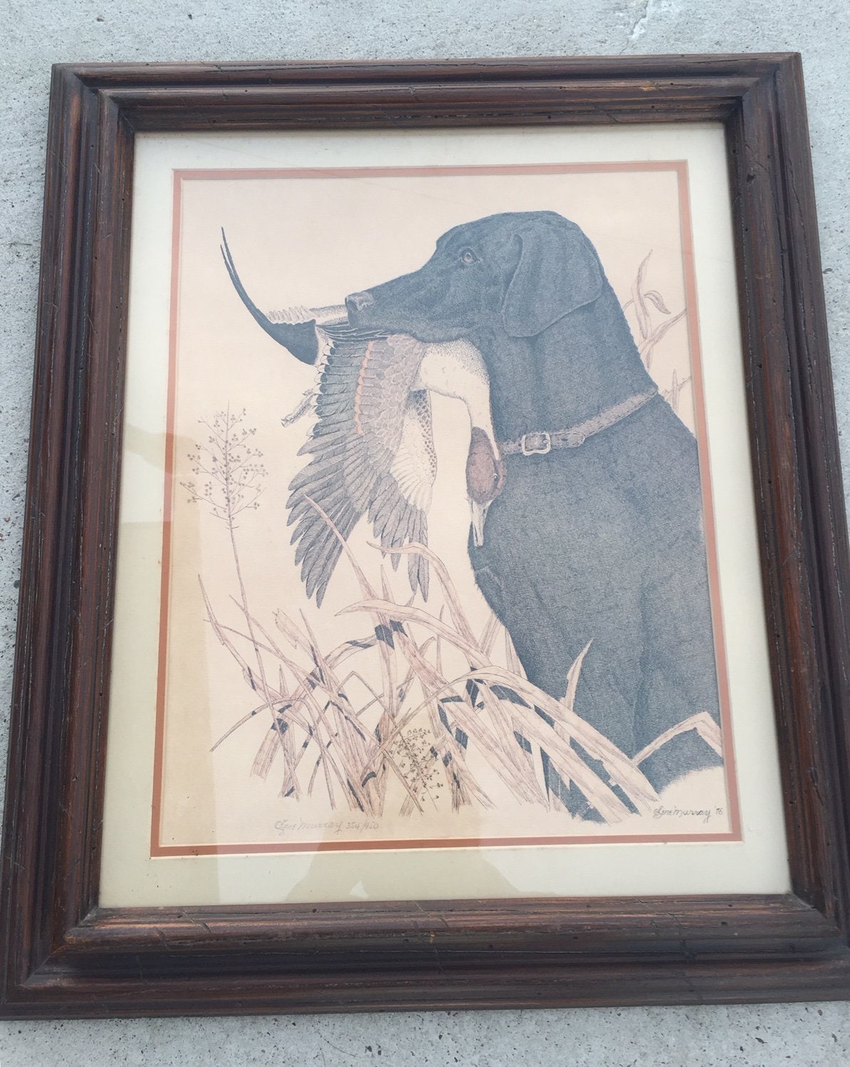 Vintage Gene Murray Limited Edition Signed Print black Lab Hunting Dog ...
