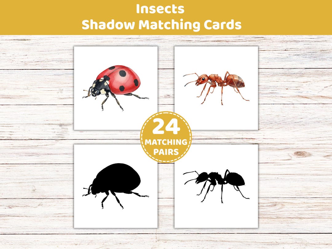 Preschool Curriculum Busy Book, Insects Shadow Matching Cards ...
