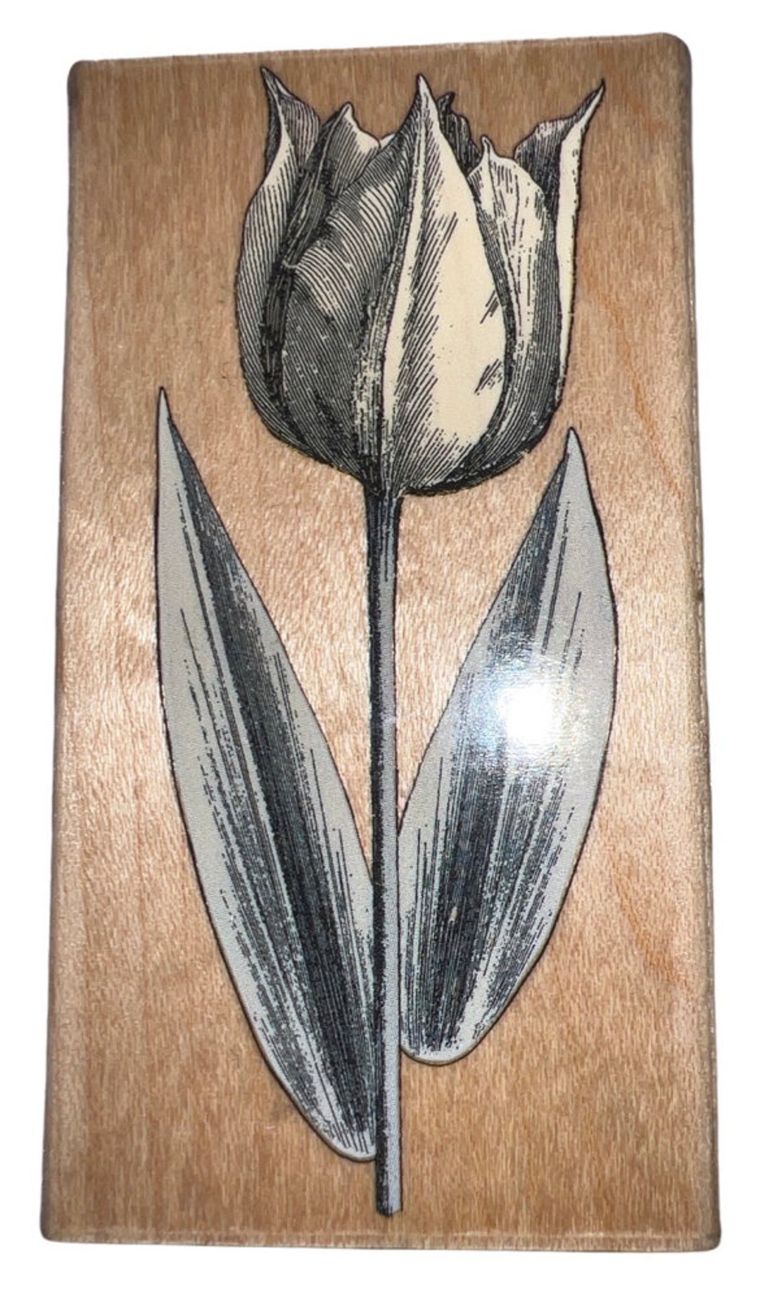 Hero Arts Long Stem Pencil Drawing Flower Bloom Garden Wooden Rubber ...